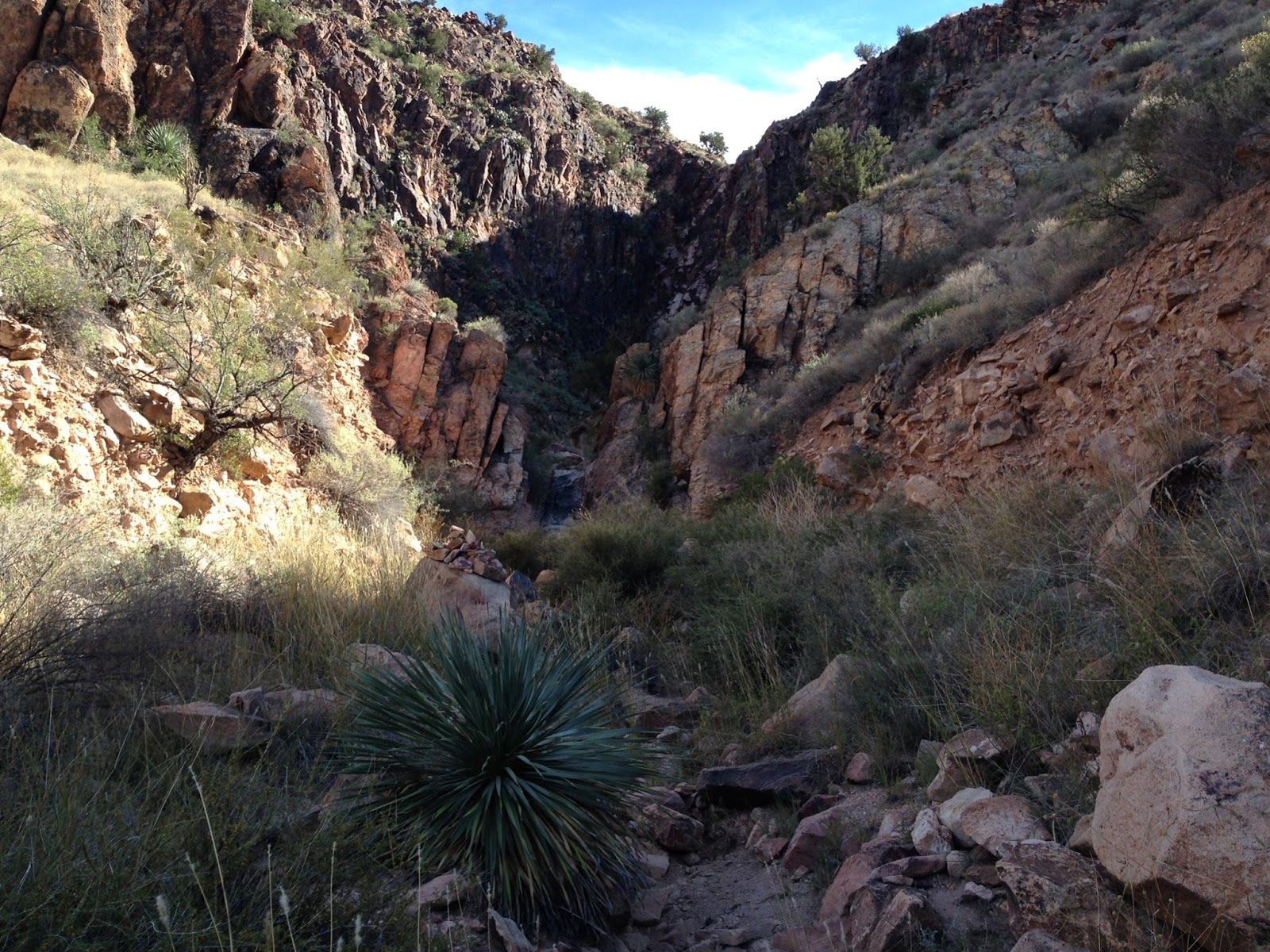 Southern New Mexico Explorer: Lower Faulkner Box Canyons- Organ ...