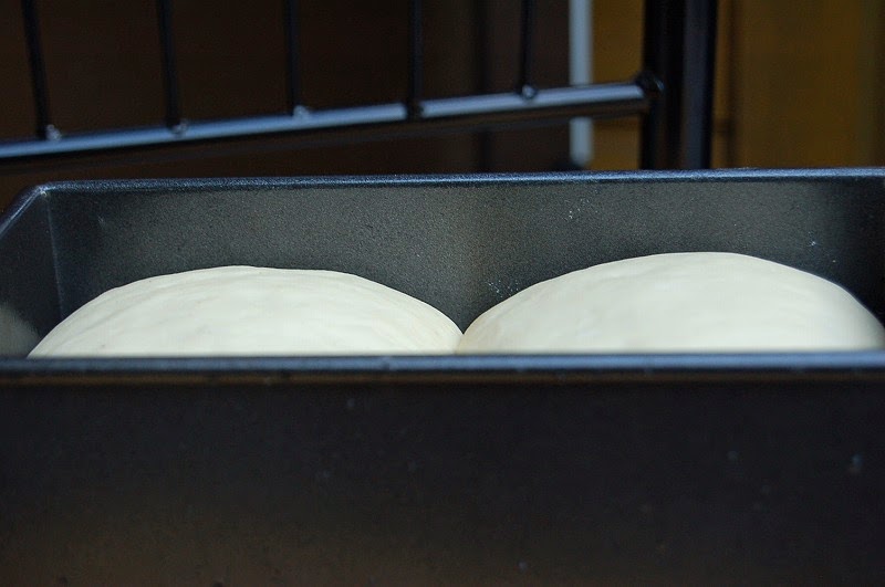 Ko-Bo: Shoku-pan (Milk Hokkaido loaf)