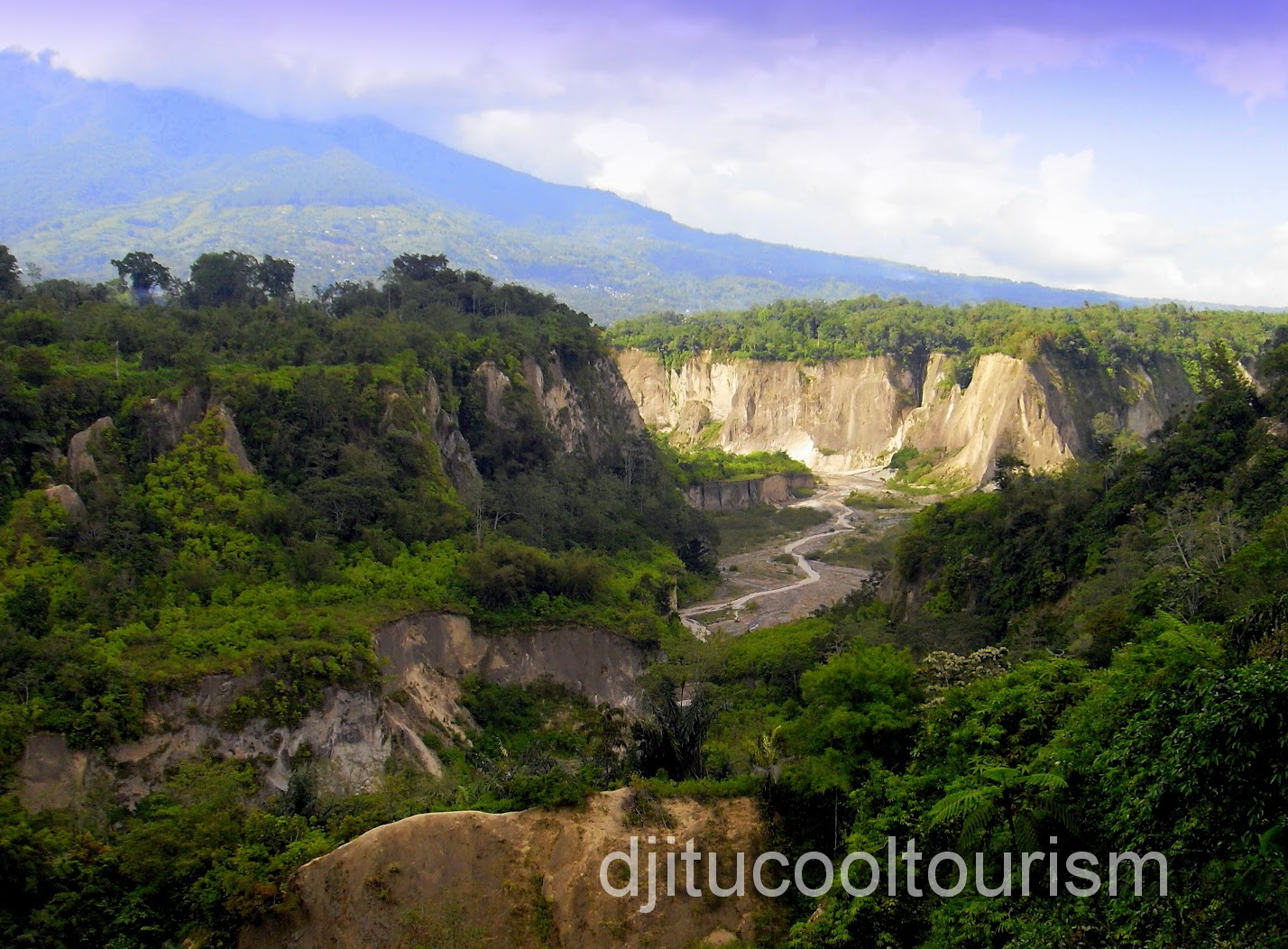 The National Park of Bukit Baka- Bukit Raya Travel Borneo | Kalimantan ...