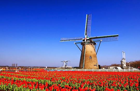 Profil Negara Belanda - KajianWebsite.org