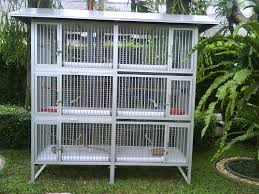 Kandang Kelinci | Kelinci