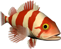 SKETCHUP TEXTURE: FISH CUT OUT PNG FORMAT