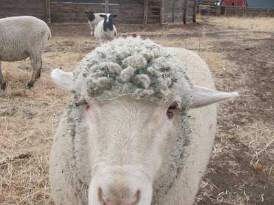 Range to Range: I Think I Can