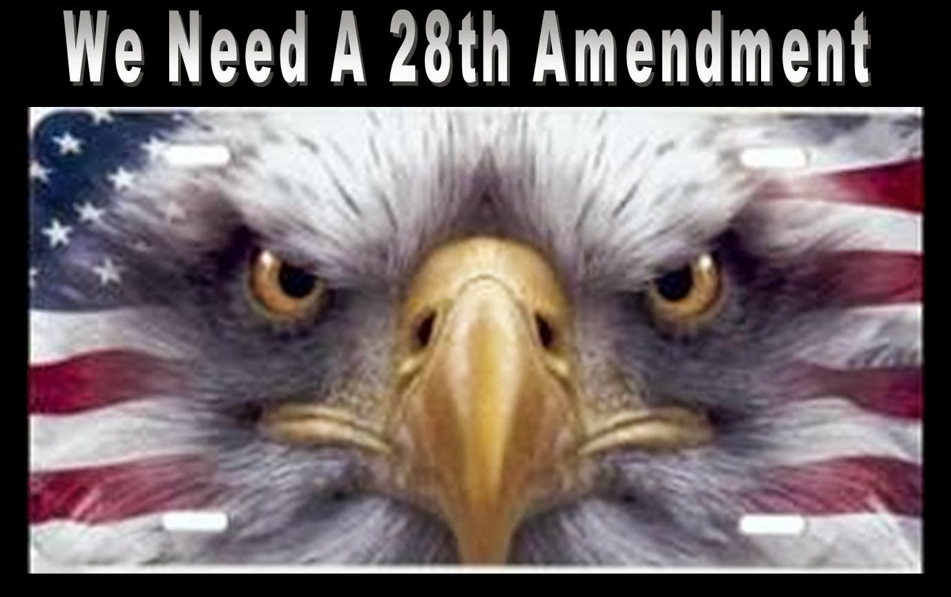 Saving America: We Need a 28th Amendment