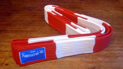 El rincón del deporte : Formas de progresión en judo