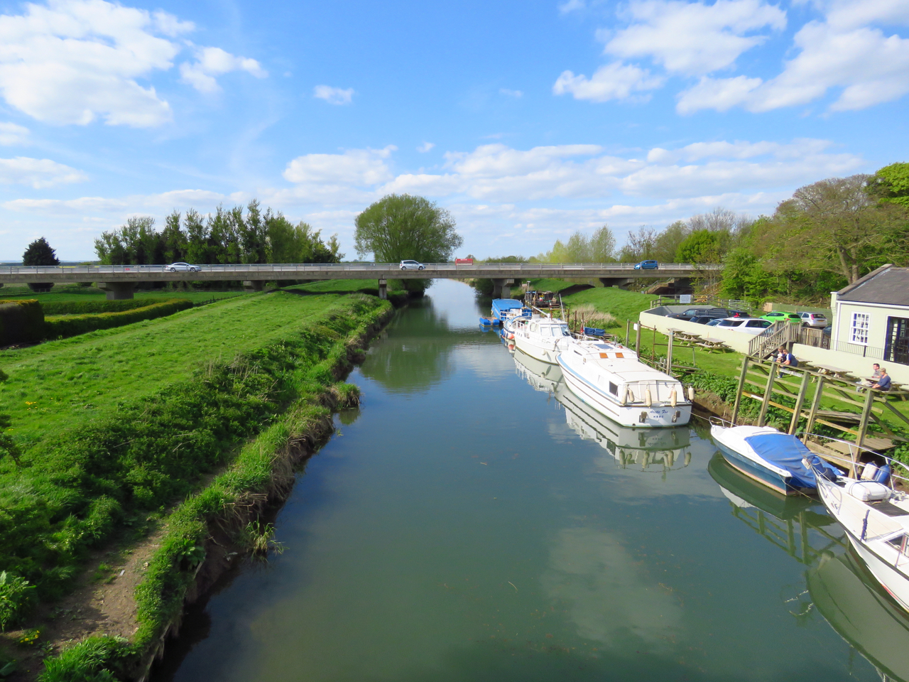 Wild at Hull: River Hull. Stage 8. Swinemoor
