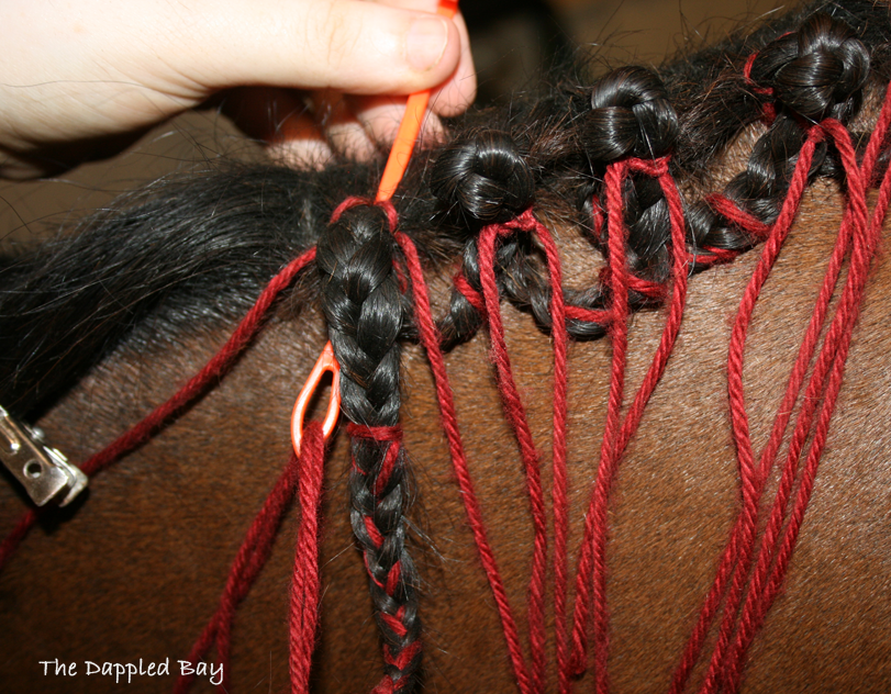 The Dappled Bay: Tutorial: Scalloped Button Braids