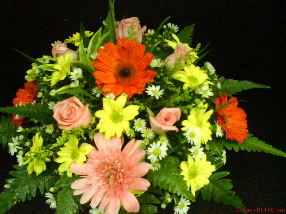 VR Secret Garden Florist