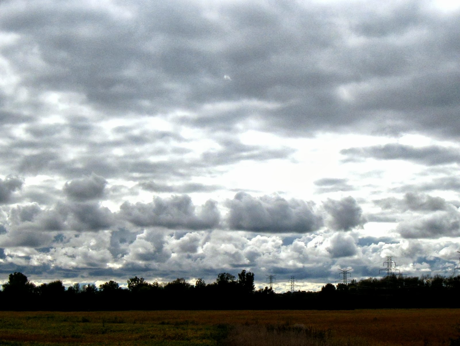 My Little Corner of the World: Fall Clouds