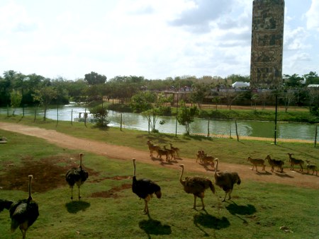 Animaya, Zoológico del Bicentenario - BLOG YUCATÁN