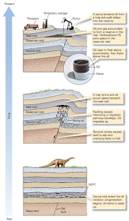Learning Geology: Petroleum Geology