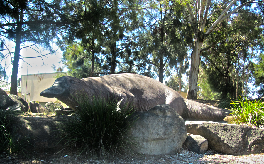 Daily Photo Canberra: Giant monotreme in Ngunnawal