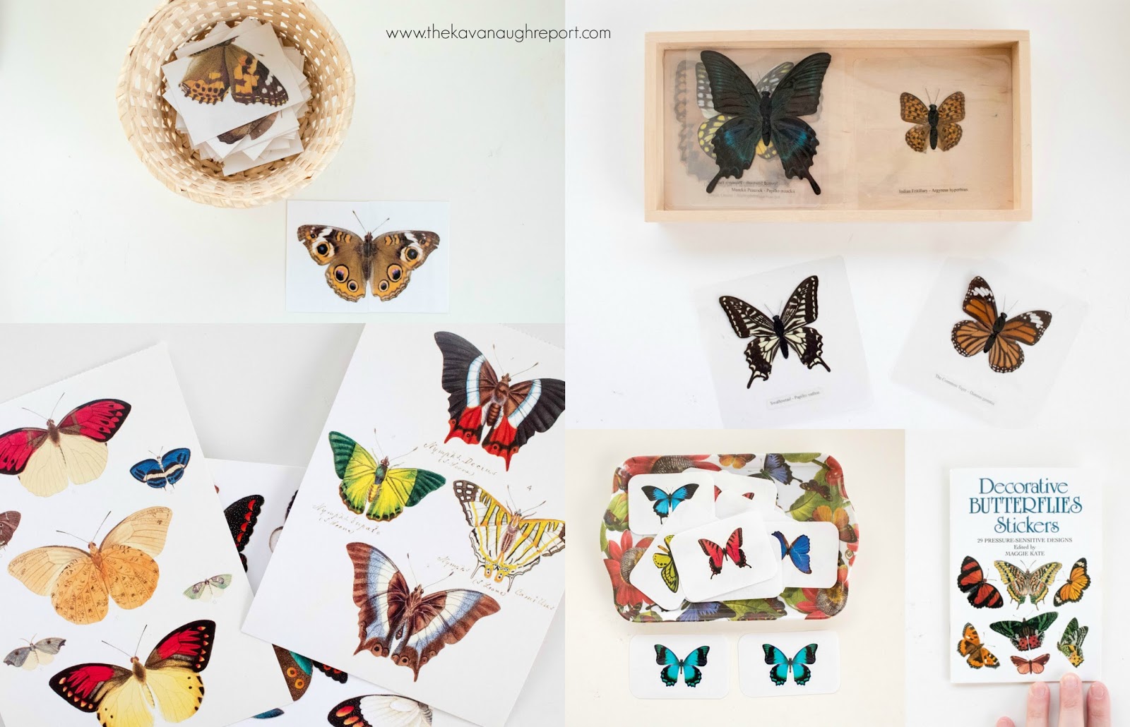 Toddler Butterfly Theme for Spring