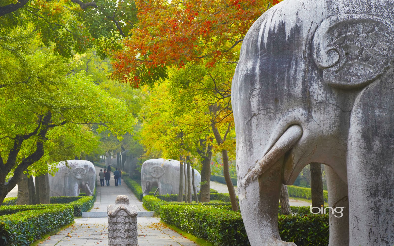 Banco de Imágenes Gratis: Las mejores imágenes de Bing (Parte 1, 40 fotos)