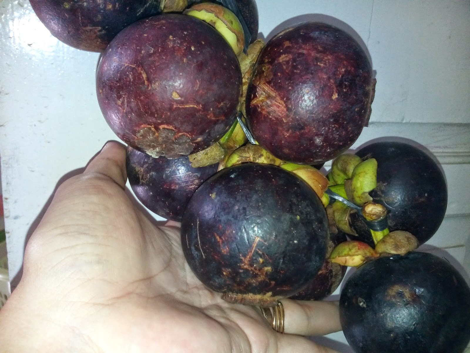 Endah Murniyati's Journey: MANGGIS : PART 6