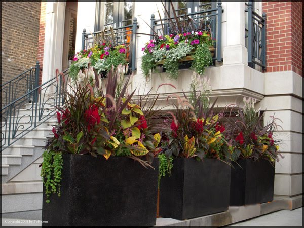 the beauty of flower boxes - B. B.
