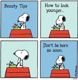 Writing In The Crosshairs: THE ZEN OF SNOOPY