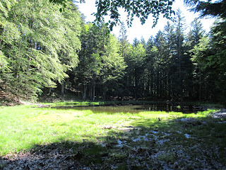 Escursionismo a 360°: Alpe Tre Potenze e Gomito (per il Lago del Greppo) EE