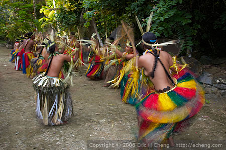 Exploring The Tropical Dry Forests in The Islands of Yap: Community ...
