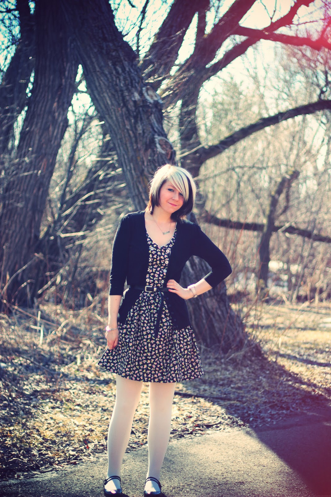 The Styling Dutchman