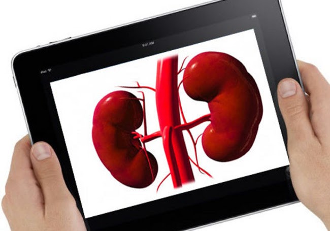 review produks: WANG SHANGKUN CHENSE TEEN WHO SOLD KIDNEY TO BUY IPAD ...
