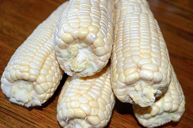 Bubby and Bean ::: Living Creatively: The Perfect Fall Corn Chowder