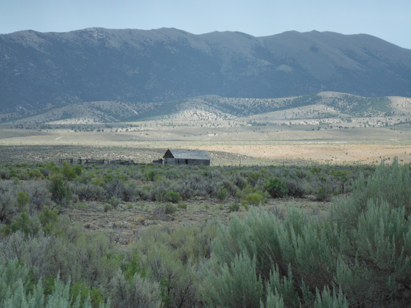 Karen's Horse Tails: City of Rocks