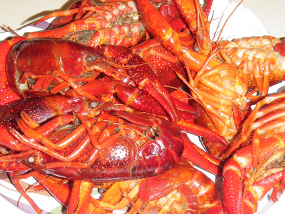 365 Projects: May 2013