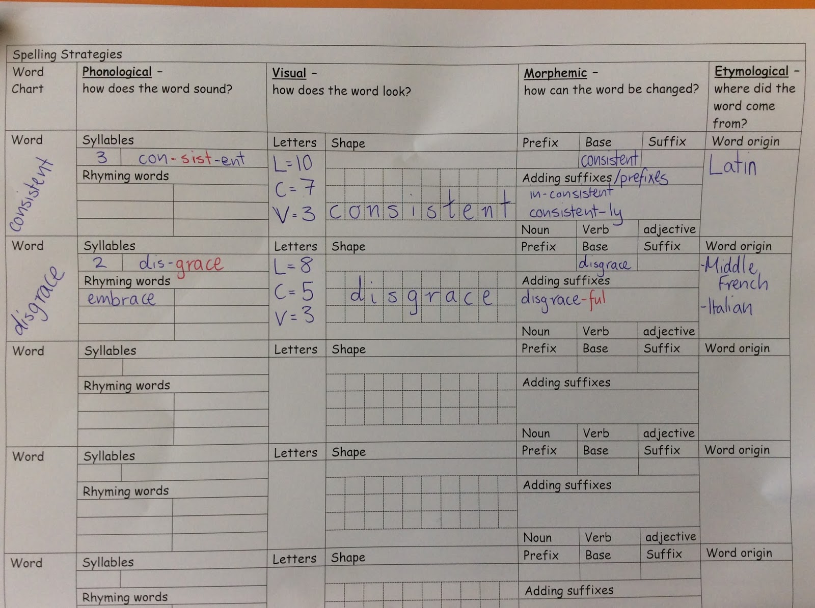 Year 5 OLC: February 2016