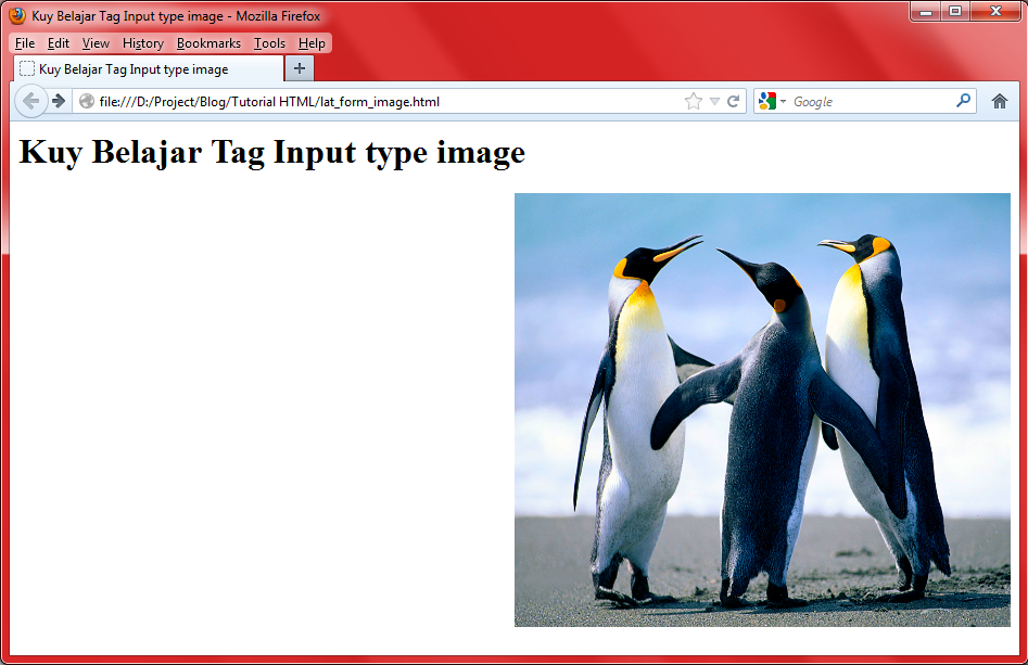 Fungsi Input Type Image Beserta Cara Penggunaannya