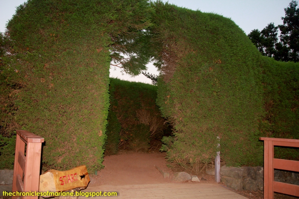 Manjanggul Cave and Gimnyeong Maze Park, Jeju - Day 12 in South Korea ...