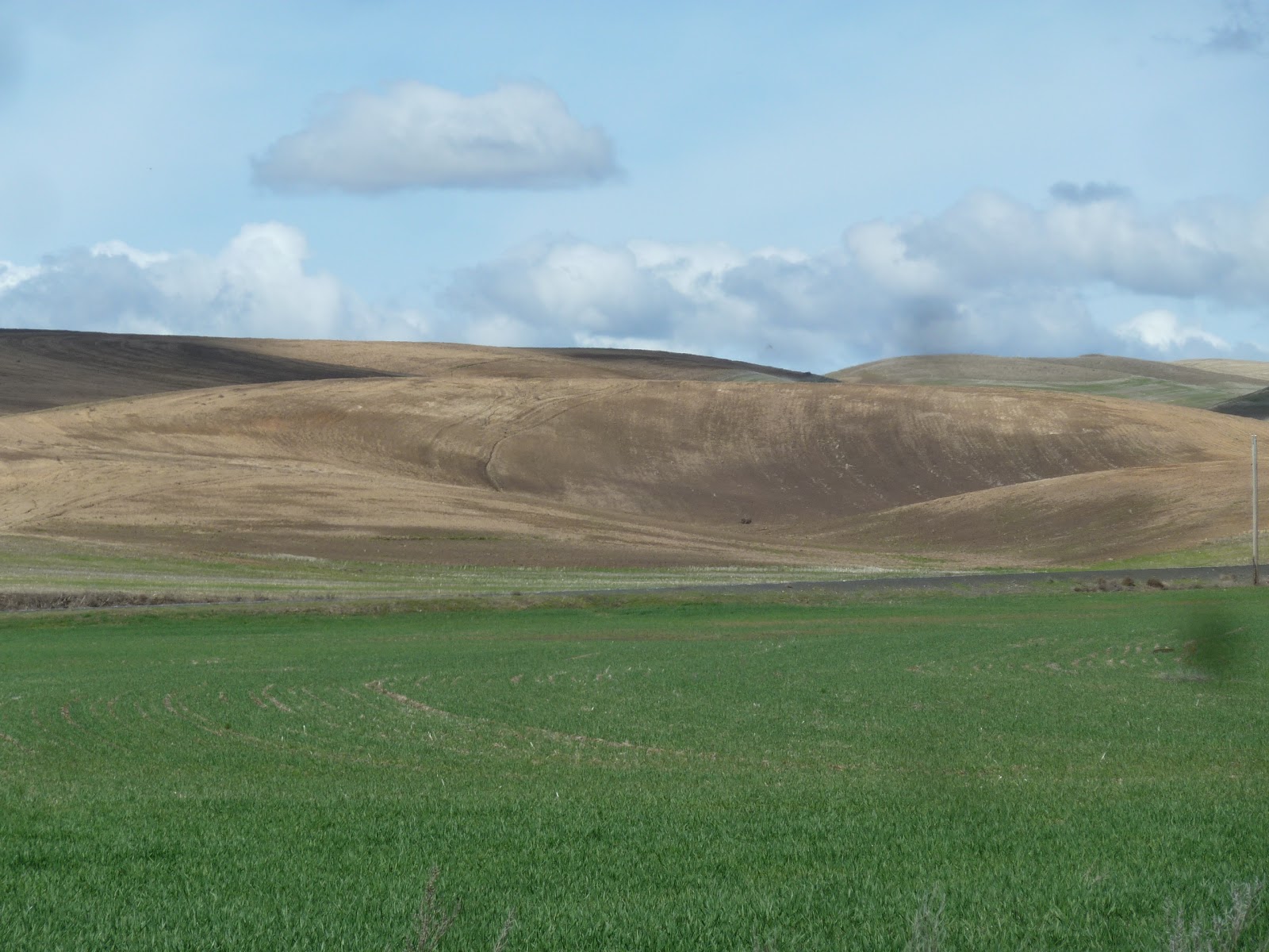 FARMING THE PALOUSE: May 2017