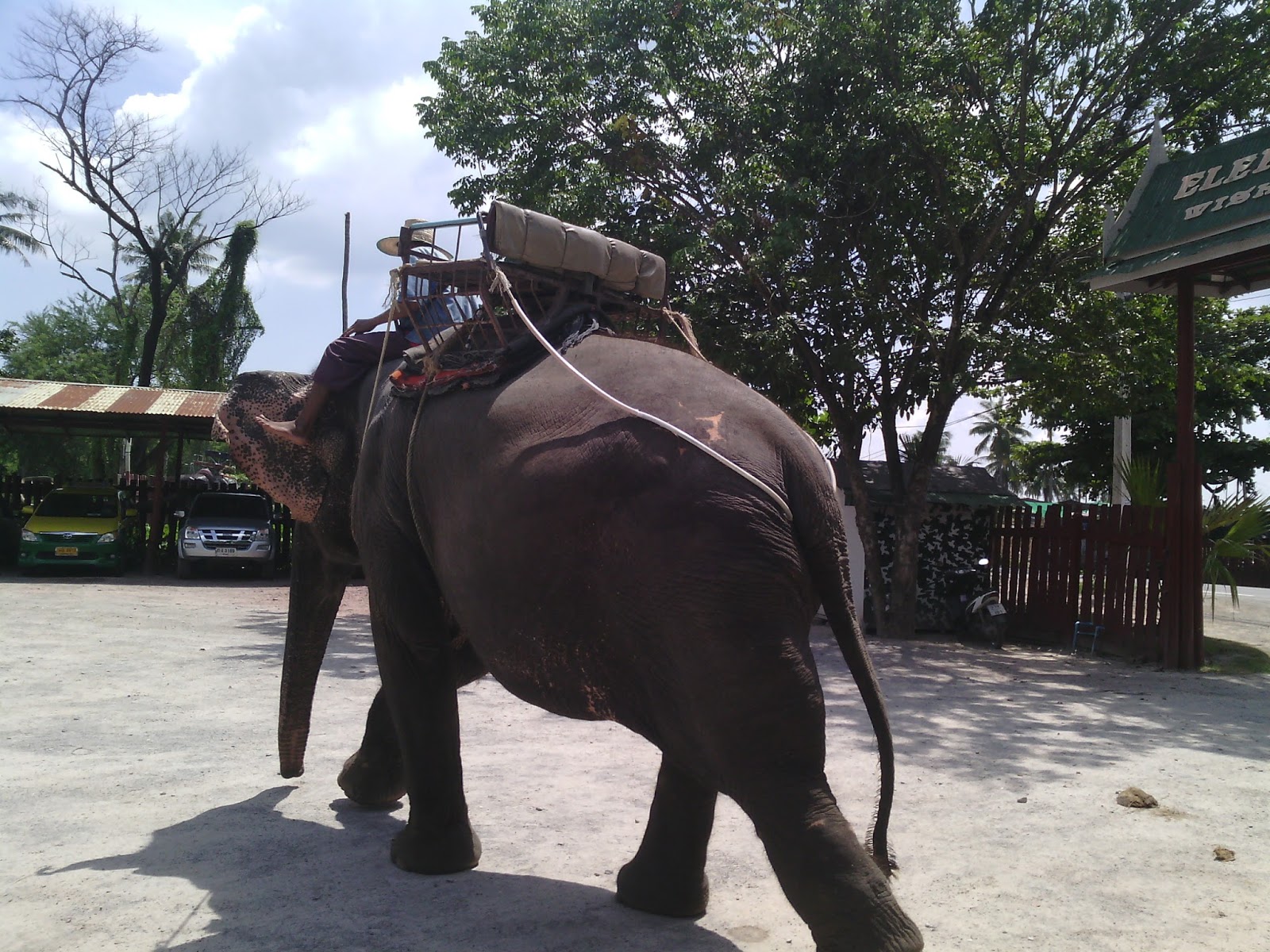 Bangkok Sightseeing Tours Travel: FLOATING MARKET & ELEPHANT THEME SHOW