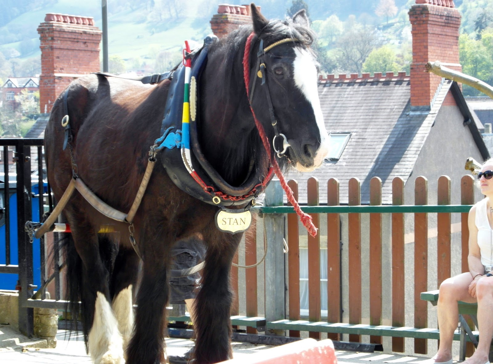 Currin Family Updates – Currin Family from Nelson, New Zealand