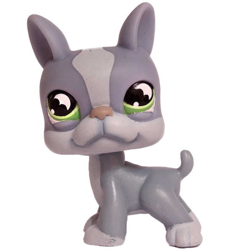 Littlest Pet Shop 3-pack Scenery Boston Terrier (#857) Pet | LPS Merch