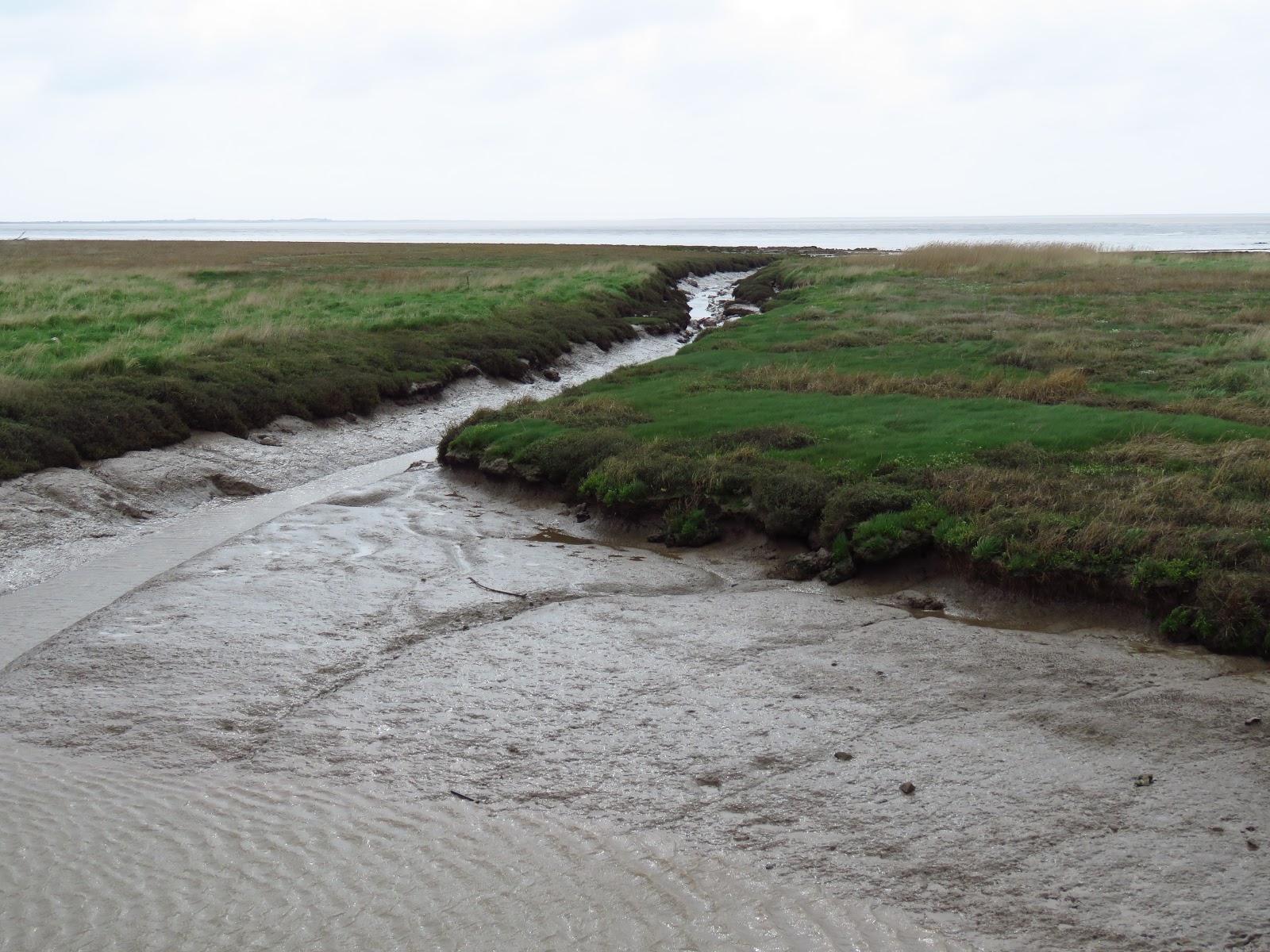 Wild at Hull: Walking the Humber. Stage 12. Sunk Island East