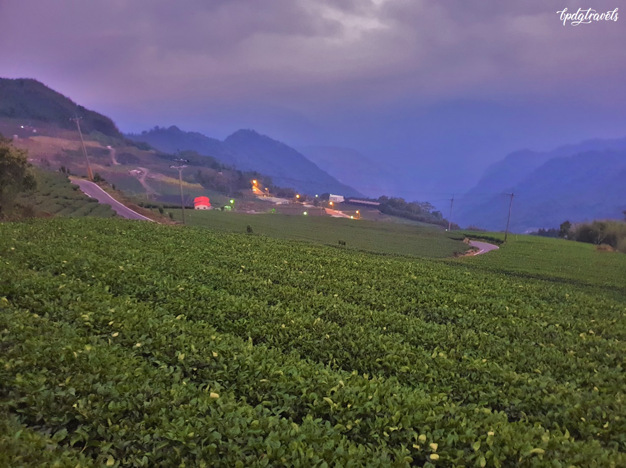 Taiwan Trip Day 5 - Alishan (阿里山) | Fenchihu 奋起湖 | Eryanping Trail ...