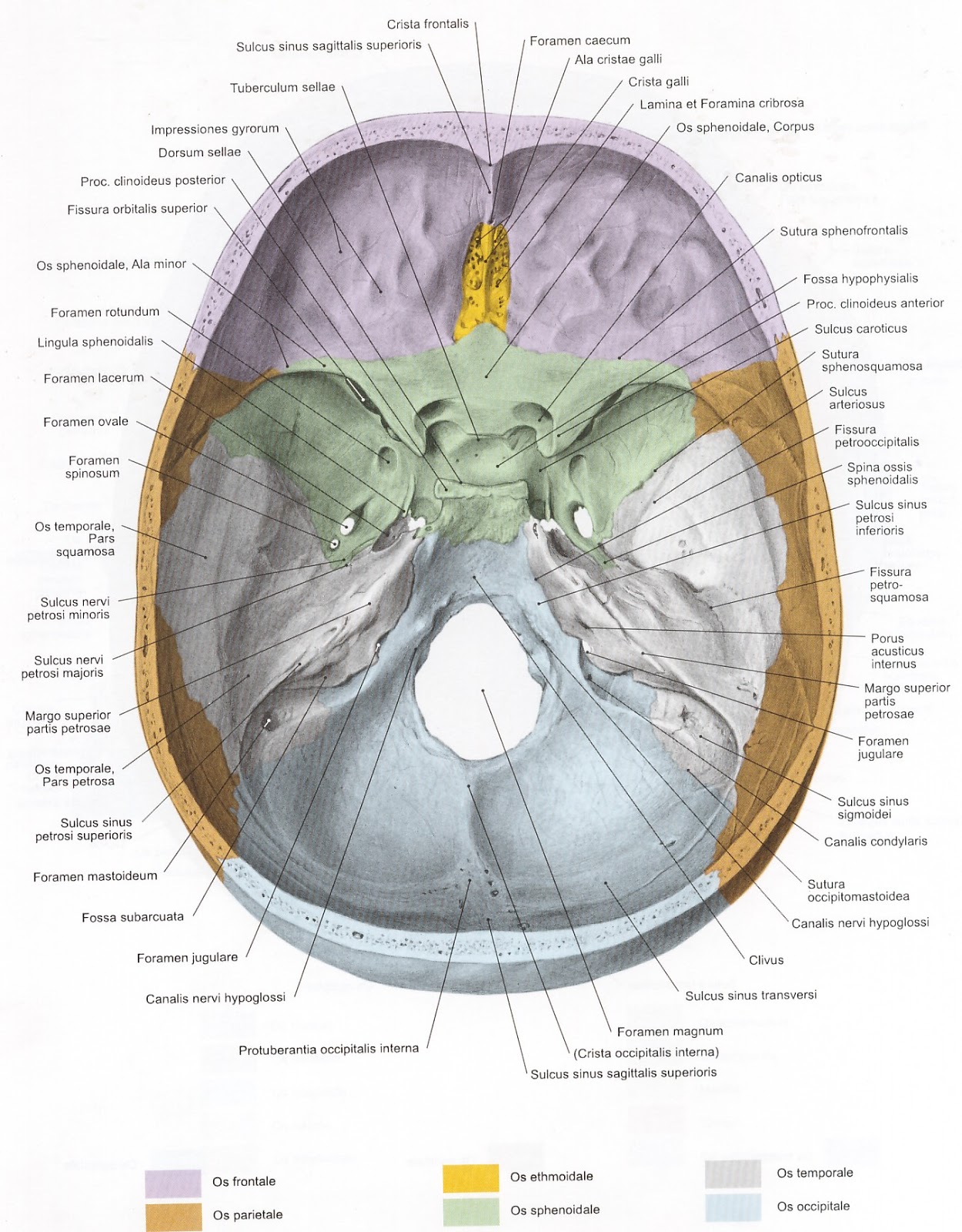 Lalu mohammad Salim Rahmatullah: November 2012