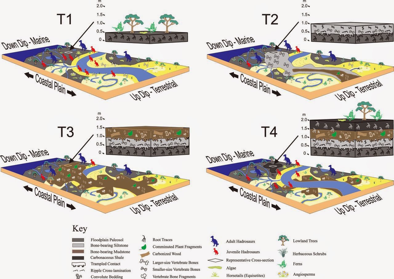 The Dragon's Tales: Explaining the Maastrichtian Cretaceous Dinosaur ...
