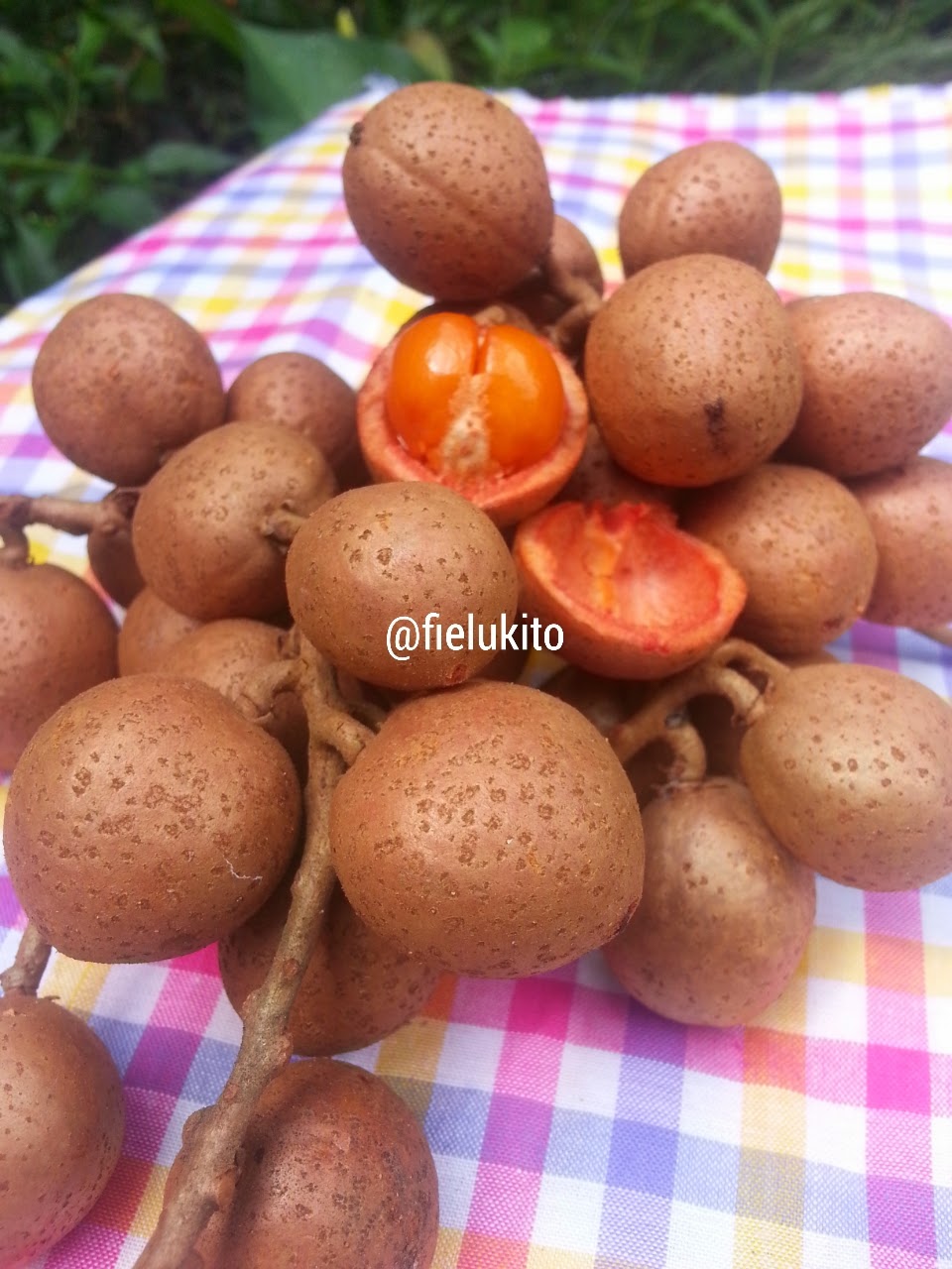 I'm Just Ordinary Me: Buah unik Kalimantan