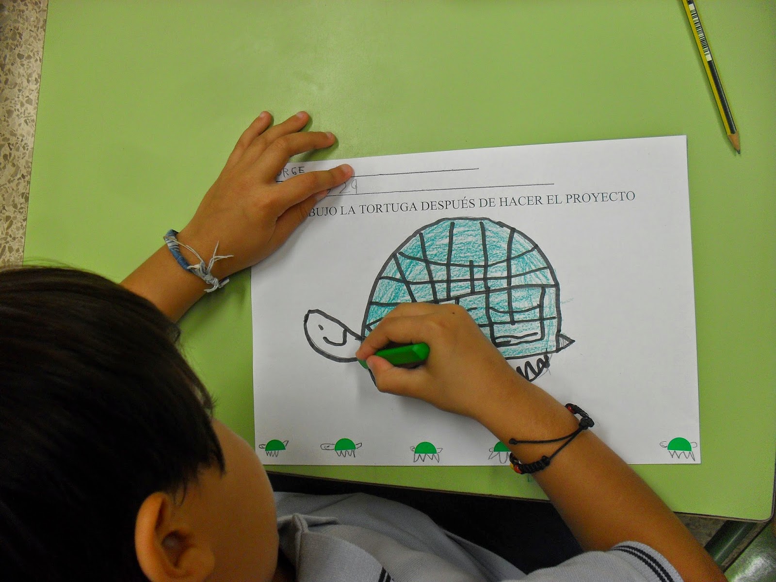 Pequeños monstruitos: DIBUJO DE LA TORTUGA TRAS NUESTRO PROYECTO