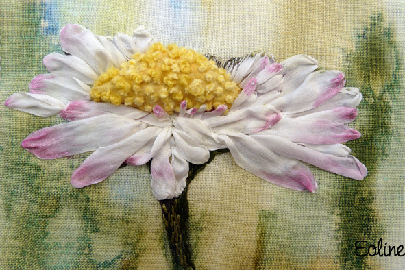 ici&maintenant: La pâquerette: une fleur en capitule!