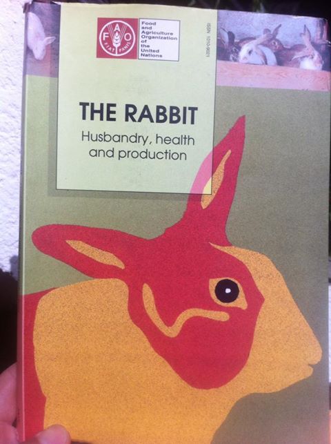 Welcome To The Rabbit Geek!: July 2013