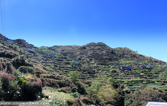 SIRANG LENTE | TRAVEL & HIKE: Mt. Timbak, Benguet (Hiking Guide ...