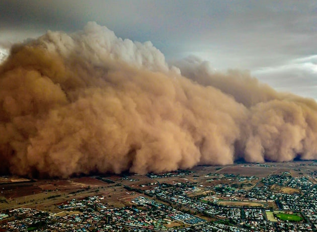 Counselors' Corner: Now That the Online Dust is Settling