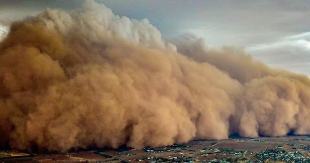 Counselors' Corner: Now That the Online Dust is Settling