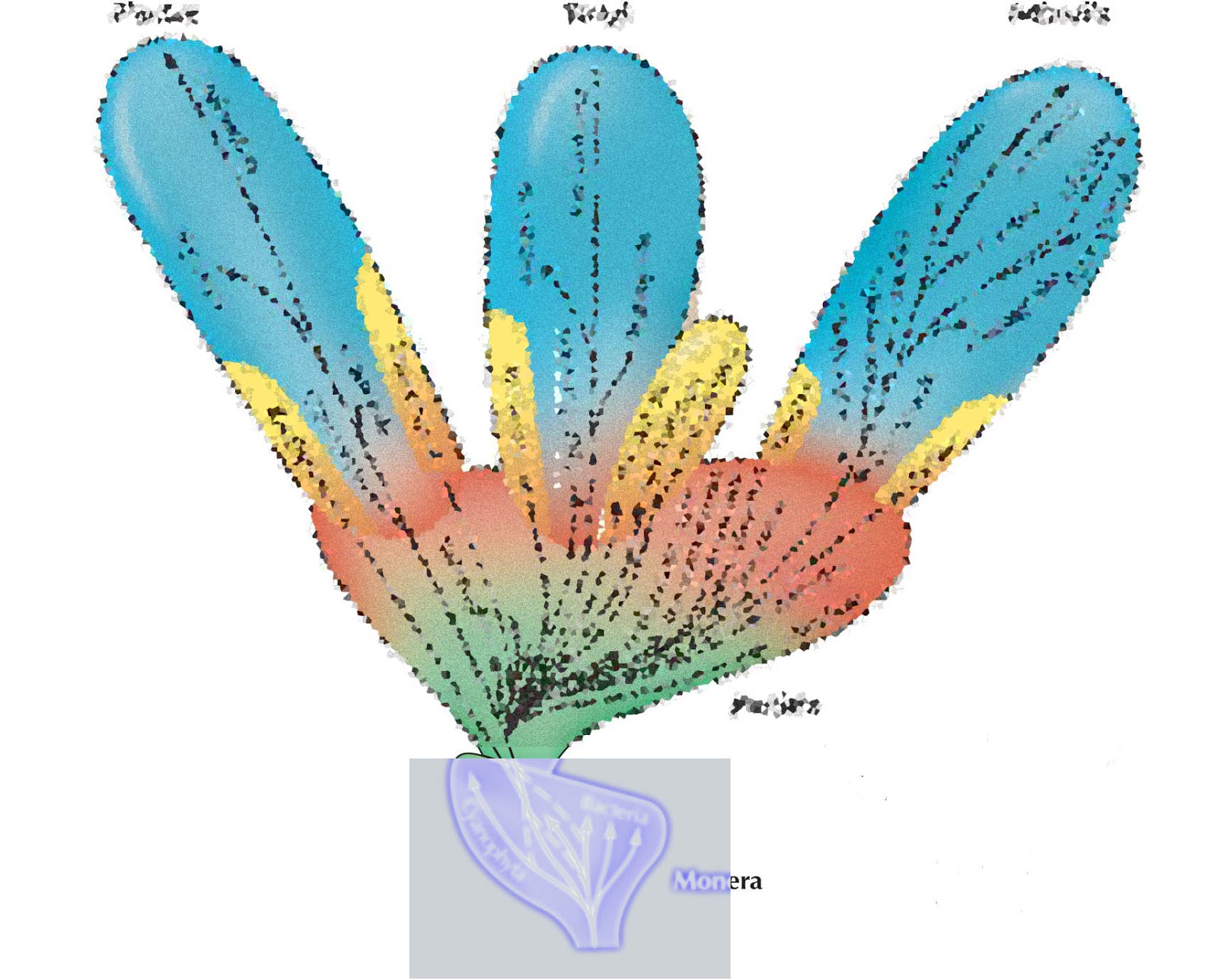 The Tree of Life: Twisted tree of life award #11: National Geographic ...
