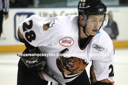 You are a Hockey Fan...you just don't know it yet.: You never forget ...