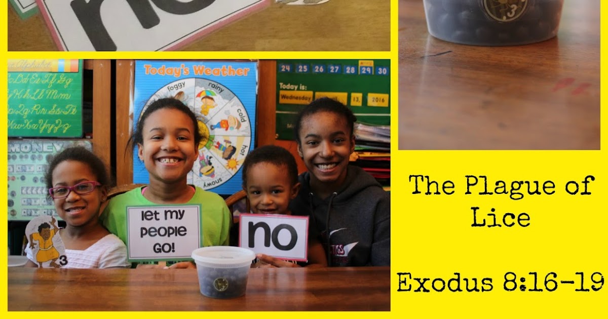 A Stable Beginning: *Almost* edible 10 Plagues study ~ The Plague of Lice