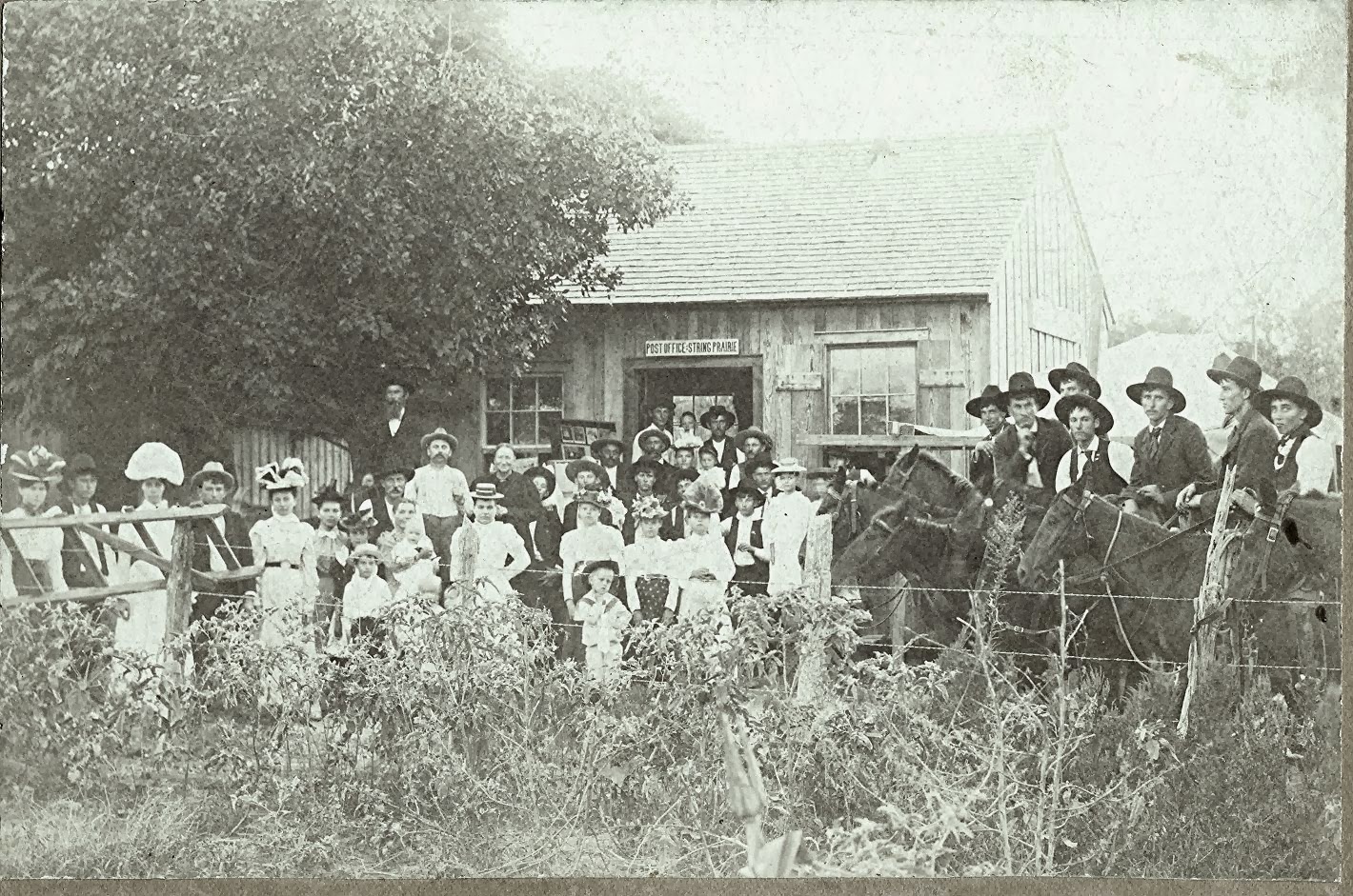 Family Roots and Branches: Three Ways to Celebrate National Family ...